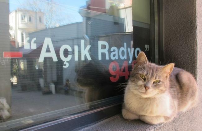 Açık Radyo’nun 51. Yayın Dönemi başladı | Apaçık Radyo Açık Radyo’nun 51. Yayın Dönemi başladı | Apaçık Radyo